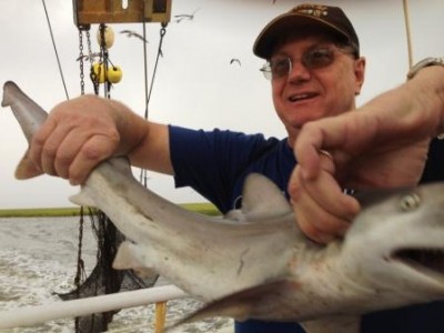 Catching a shark in Georgia - Go Eat Give