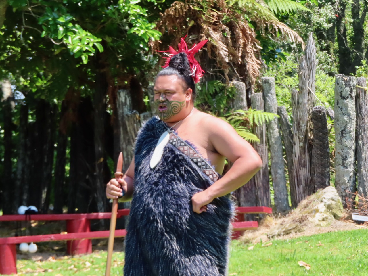 Where To Meet The Maori People in New Zealand - Go Eat Give