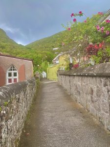 Facts About Saba You May Not Have Known - Go Eat Give